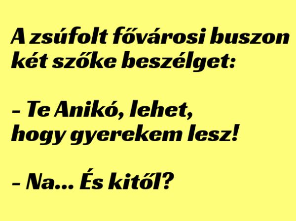 VICC: A zsúfolt fővárosi buszon két szőke beszélget - TUDNOD KELL